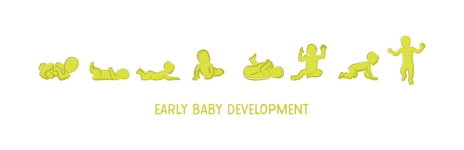 Baby development stages milestones first one year Vector Image