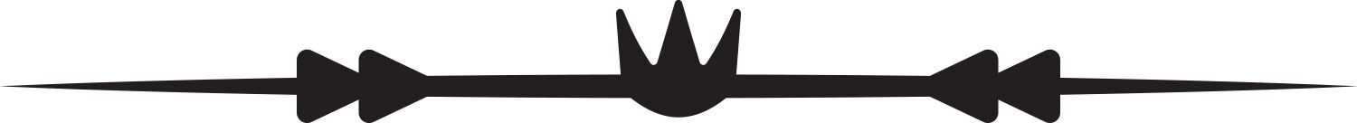 Decorative line ornament graphic design template Vector Image