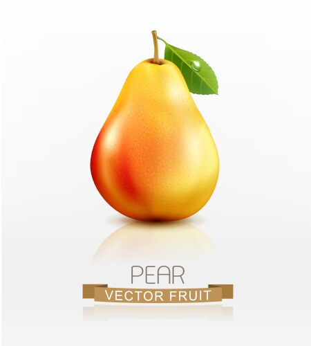 Realistic fresh pear with leaf green fruit Vector Image