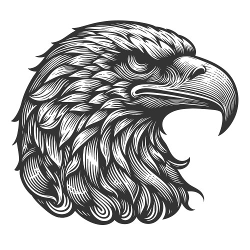 Majestic eagle head engraving Royalty Free Vector Image