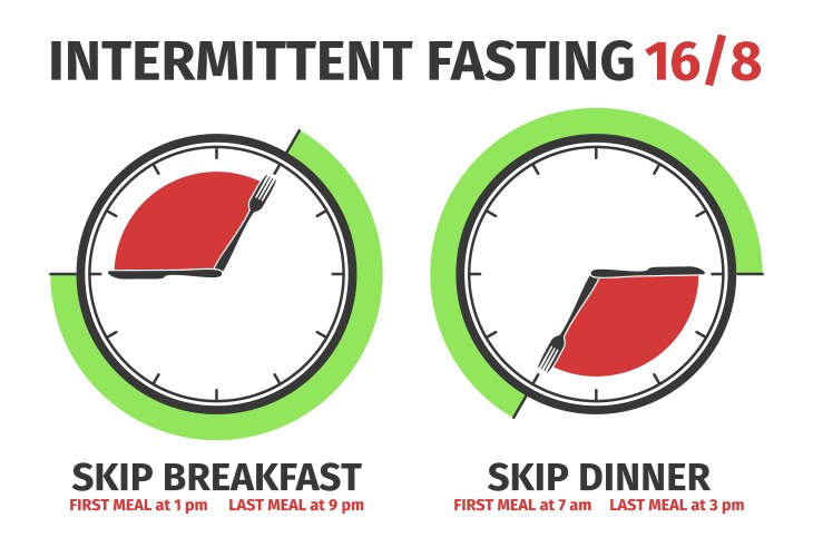 Scheme and concept of intermittent fasting clock Vector Image