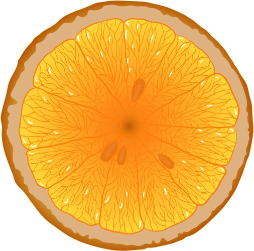 Orange Vector Images (over 5.4 million)