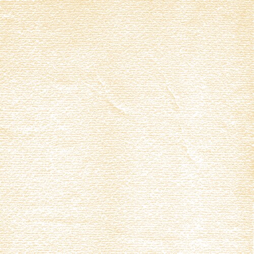Grunge texture old parchment Royalty Free Vector Image