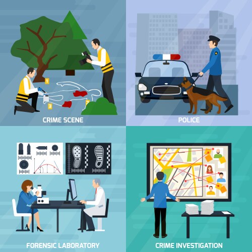 Private detective police man investigation board Vector Image