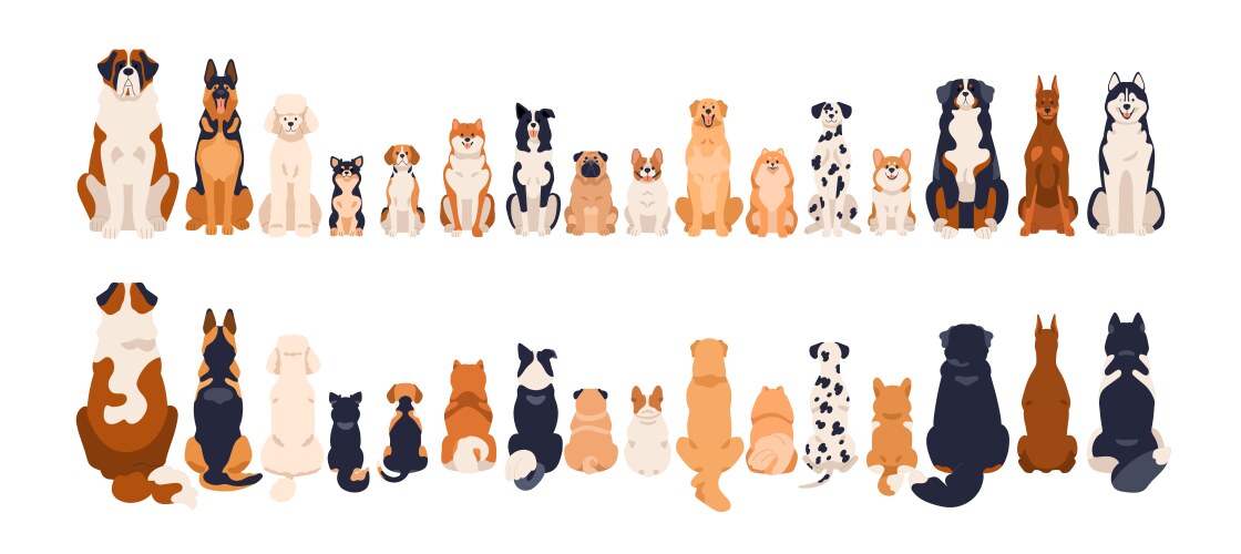 Dog Front Back Vector Images (over 460)