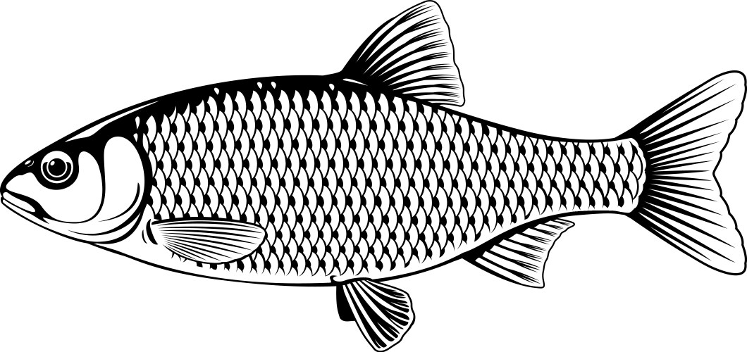 Fish Black and White Vector Images (over 180,000)