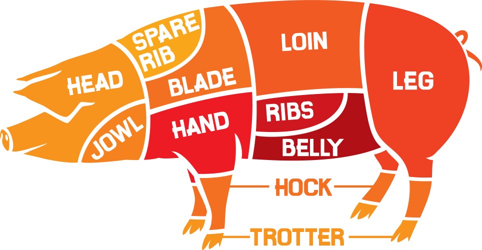 Meat Vector Images (over 340,000)