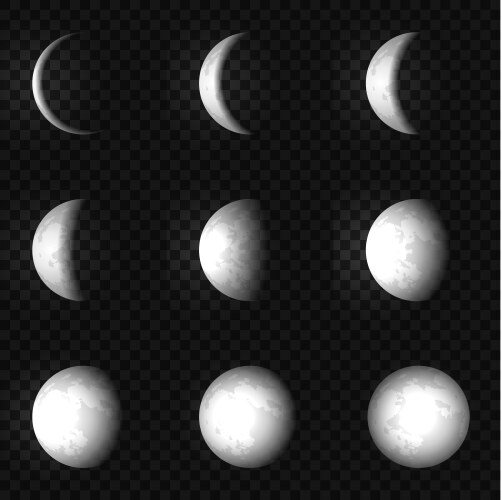 Different phases of solar and lunar eclipse Vector Image