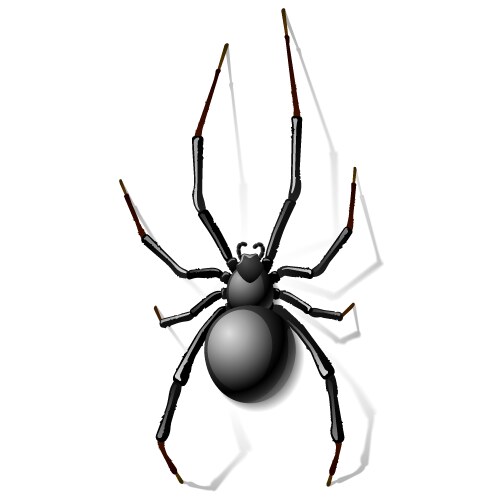 Spider Vector Images (over 74,000)
