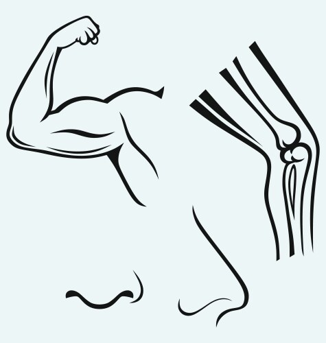 Body Vector Images (over 760,000)