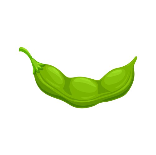 Open and closed green soybean pods items Vector Image