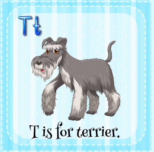 Flashcard of t is for twelve Royalty Free Vector Image