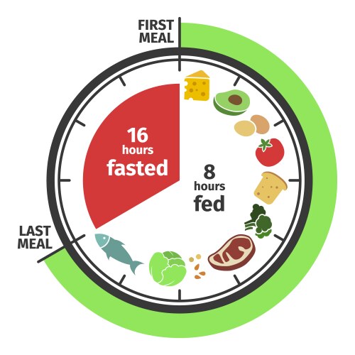 Scheme and concept of intermittent fasting clock Vector Image