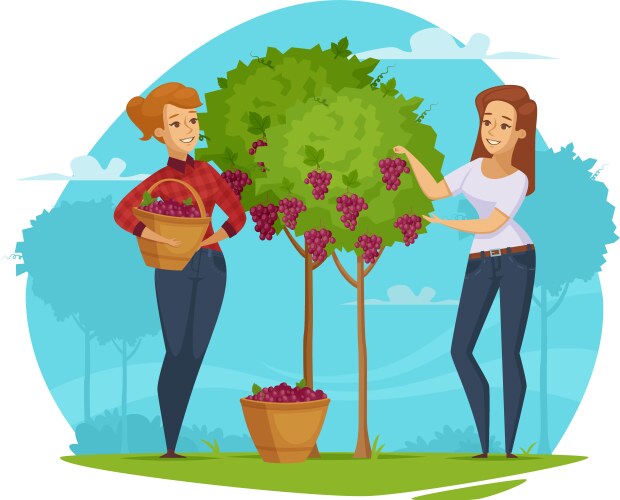 Grape Cartoon Vector Images (over 13,000)