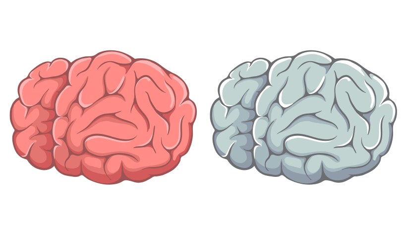 Cartoon colorful brain Royalty Free Vector Image