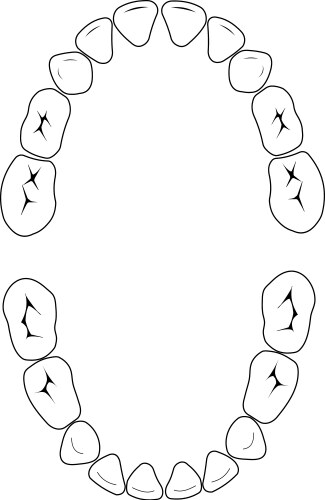 Teeth Vector Images (over 160,000)