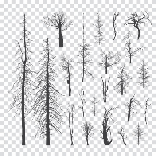 Bare Trees Vector Images (over 5,000)