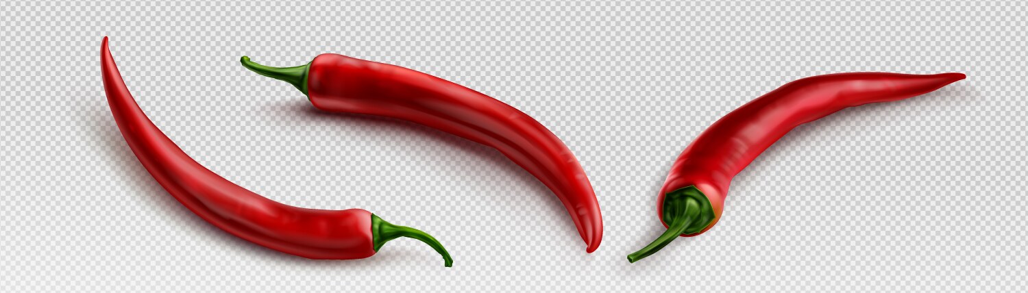 Chili Background Vector Images (over 22,000)