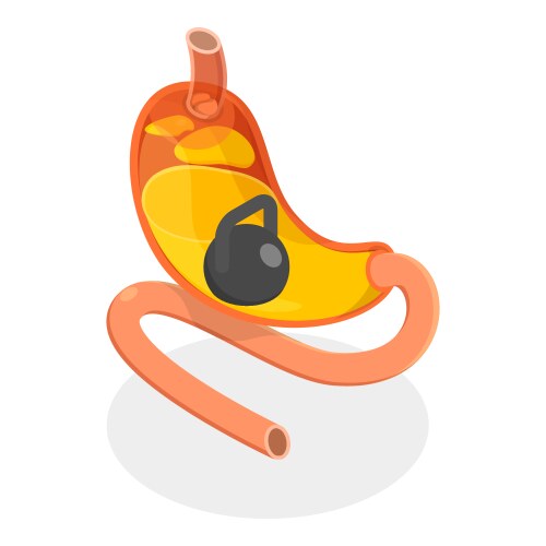 Digestive Problems Vector Images (over 3,700)