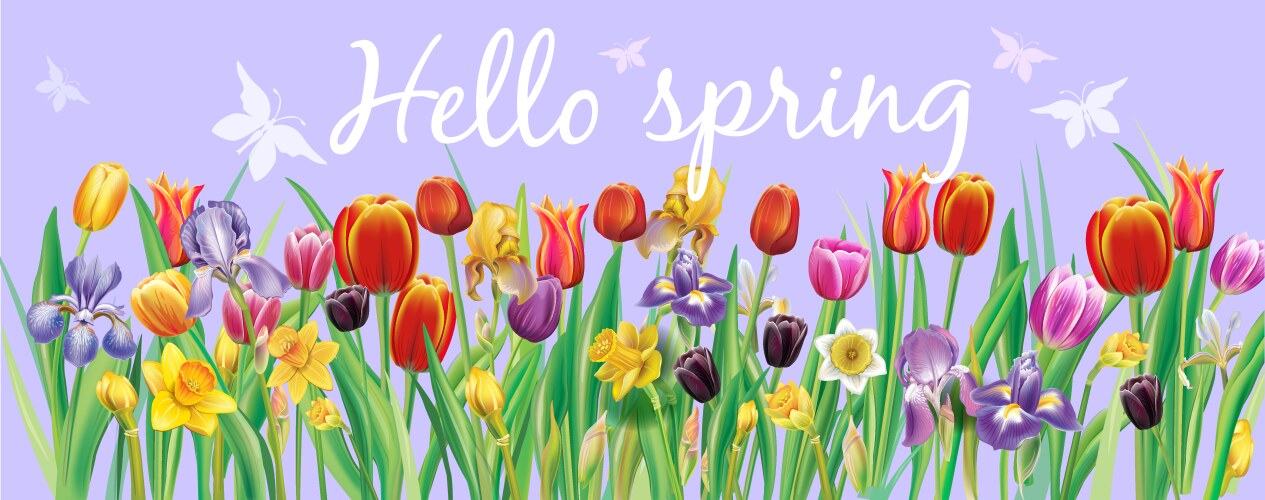 Spring floral border with colorful tulips Vector Image