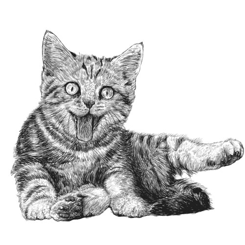 Cat color graphic artistic drawing Royalty Free Vector Image