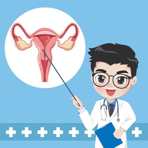 Happy Cervix Vector Images (over 260)