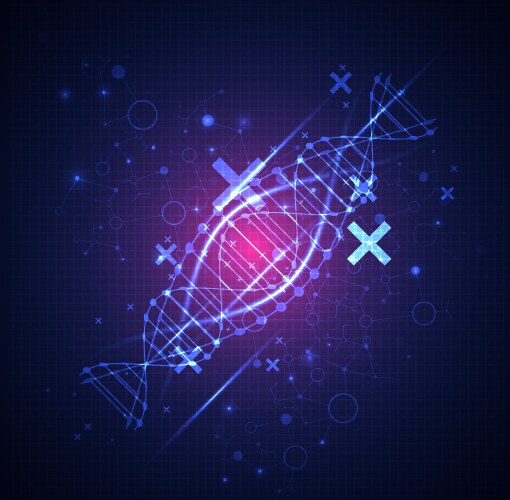 Futuristic life expectancy longevity science Vector Image