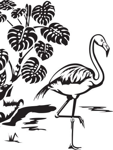 Flamingo Vector Images (over 32,000)