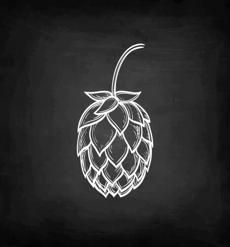 Smoking pipe chalk sketch Royalty Free Vector Image