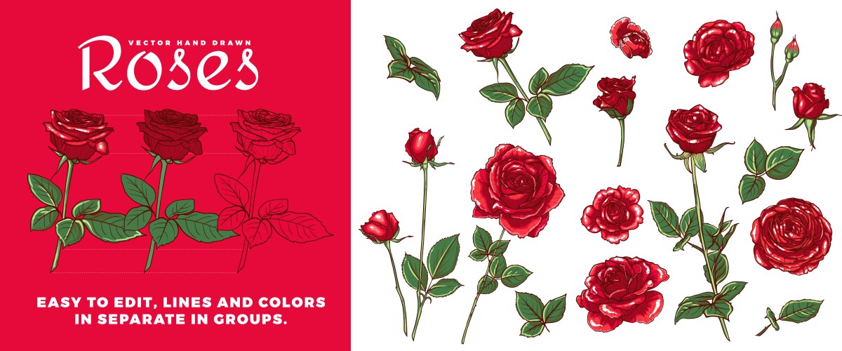 Red Roses Vector Images (over 71,000)