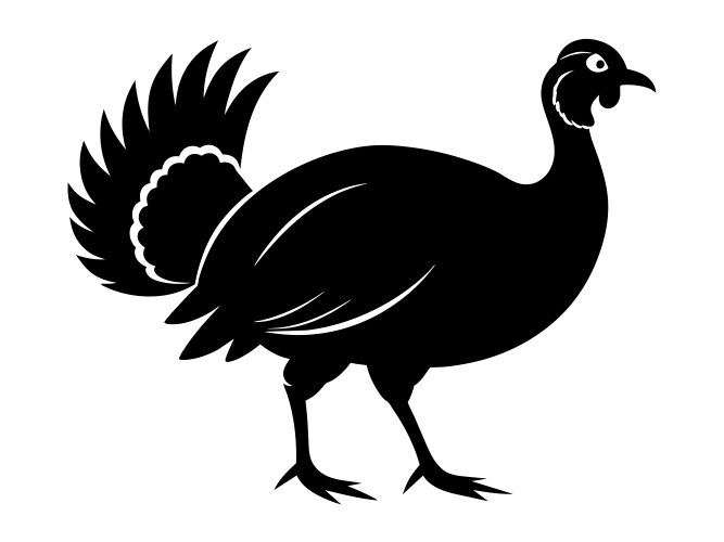 Wild Turkey Vector Images (over 1,800)