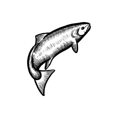 Fish Vector Images (over 470,000)