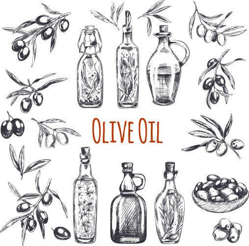 Olive branches hand drawn Royalty Free Vector Image