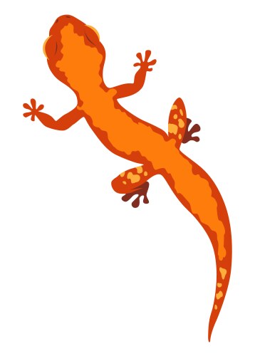 Newt Icon Vector Images (over 340)