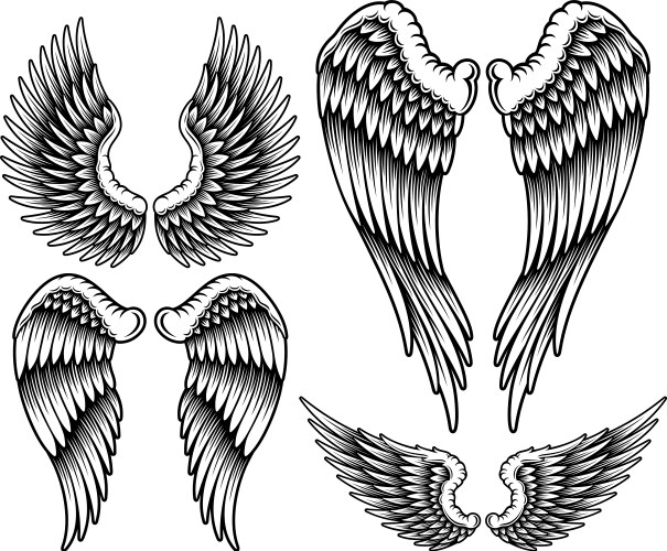 Heraldic wings set Royalty Free Vector Image - VectorStock