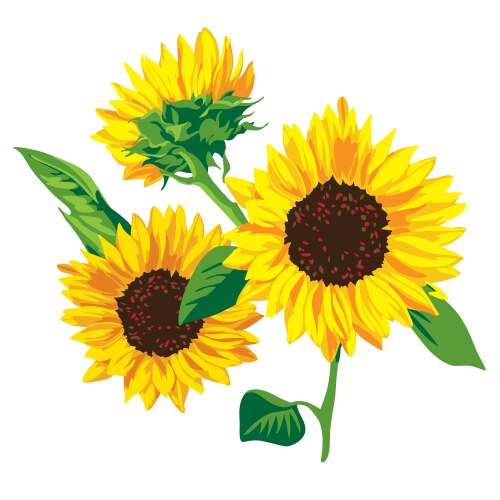 Sunflower Vector Images (over 53,000)