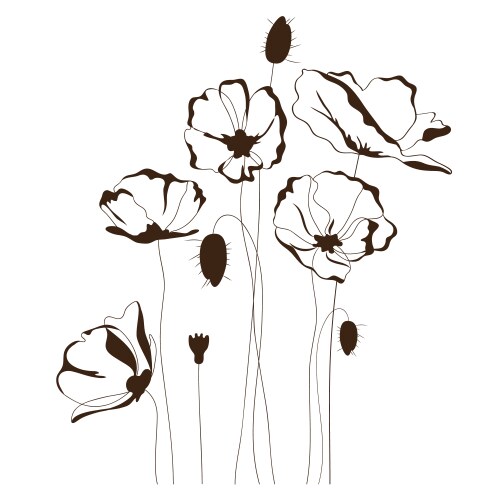 Poppy Vector Images (over 26,000)
