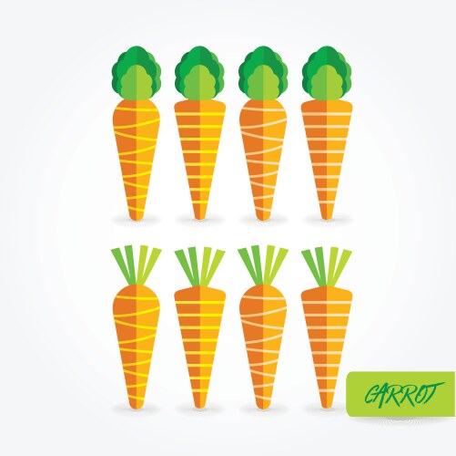 Fresh carrot Royalty Free Vector Image - VectorStock