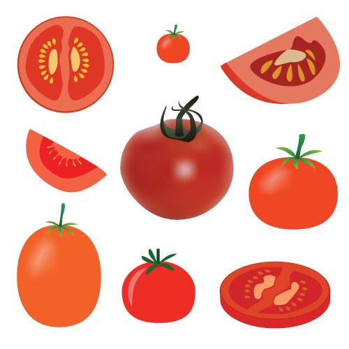 Tomato Vector Images (over 130,000)