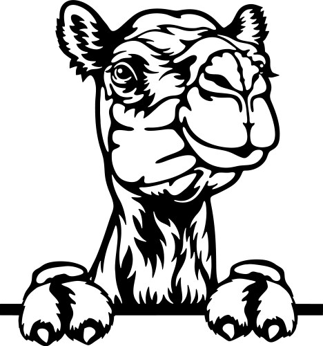 Peeking calf - funny farm animal stencil Vector Image