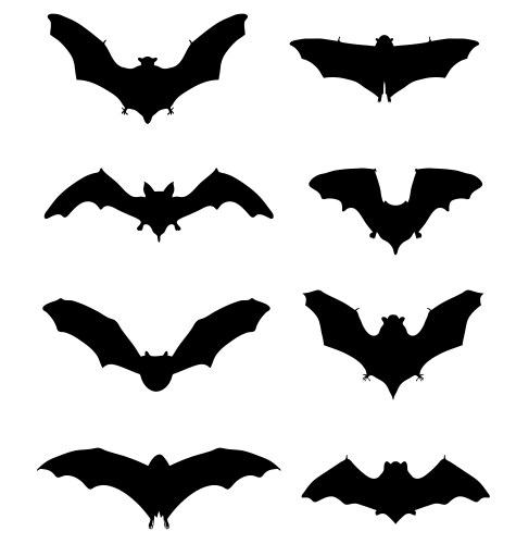 Bats Vector Images (over 140,000)