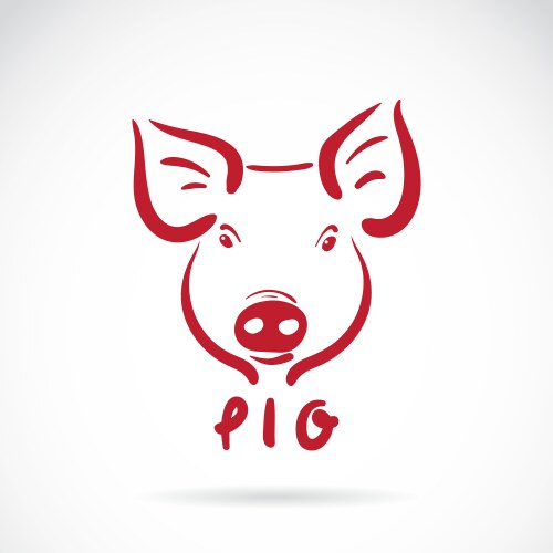 Pig head design on white background farm Vector Image
