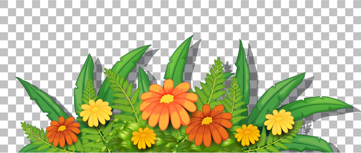 An isolated flower bush Royalty Free Vector Image