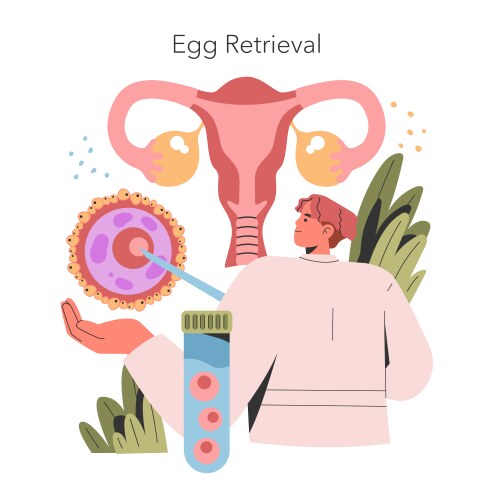 Embryology Vector Images (over 700)