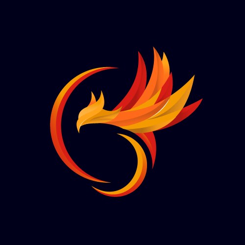 Infinity Feather Vector Images (over 330)