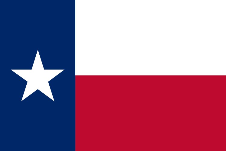 Texas state waving flag Royalty Free Vector Image
