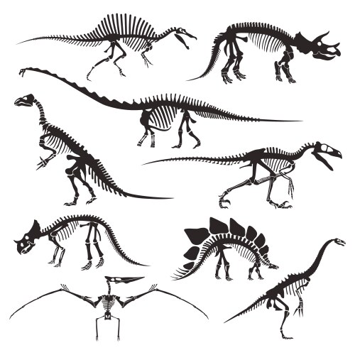 Dinosaur Bones Vector Images (over 4,900)