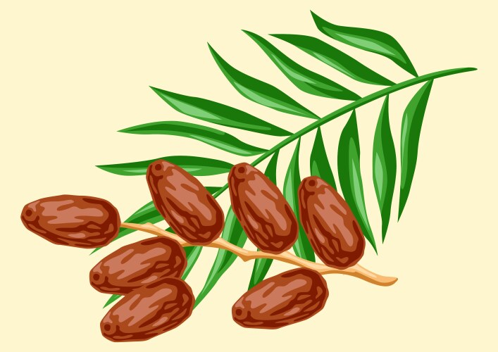 Dates Vector Images (over 520,000)