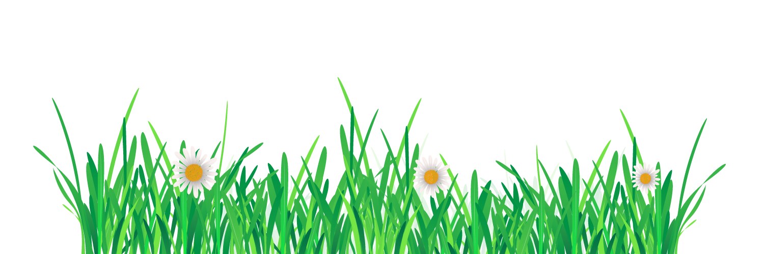 Wheat and grass Royalty Free Vector Image - VectorStock
