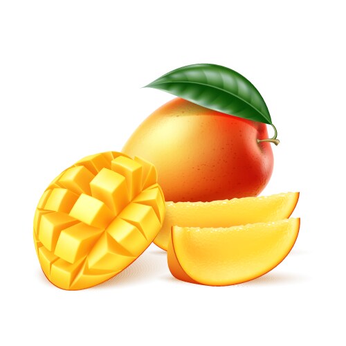 Mango Vector Images (over 22,000)